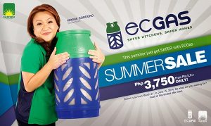 EC Gas Franchise Details – Food Cart Franchise Philippines